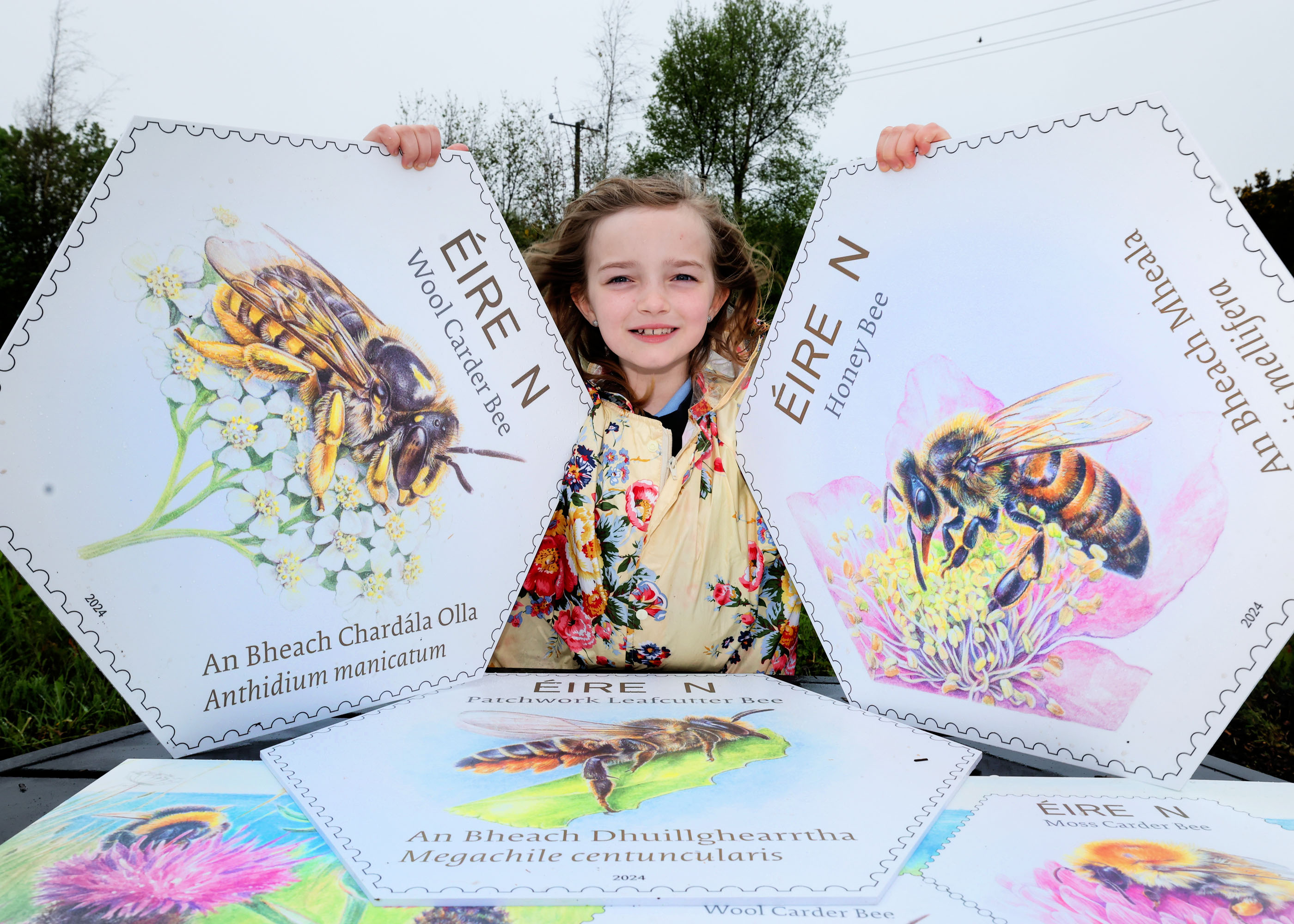 Creating a Buzz for World Bee Day - An Post launches Native Irish Bee ...